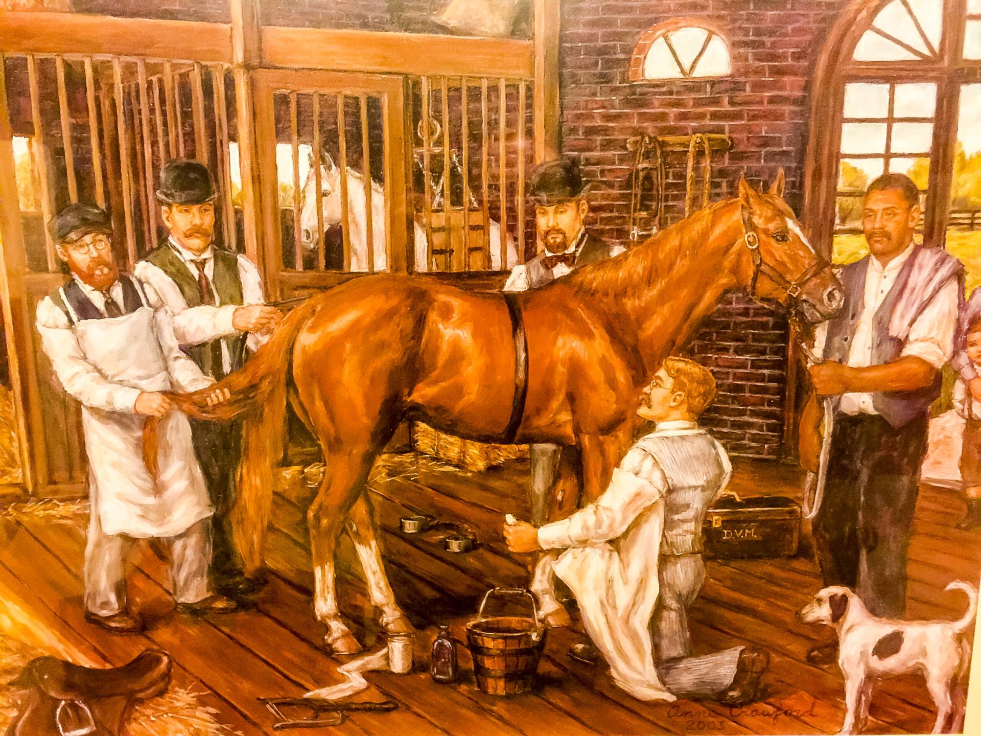 The Horse's Advocate – – Helping Horses Thrive In A Human World™